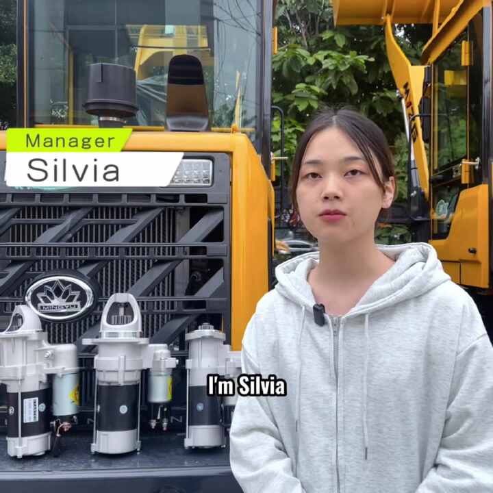 Excavator Starter Motor - Reliable Performance & Durability
