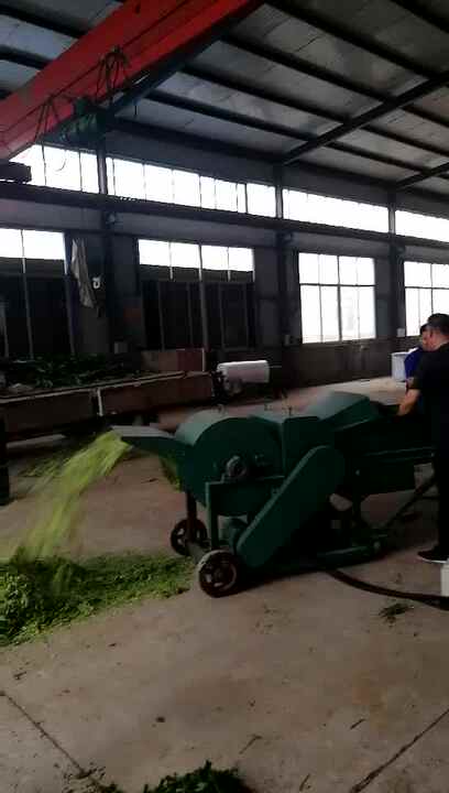 Automatic Fodder Grass Grinding Machine - High Productivity