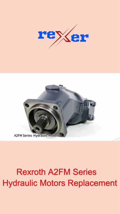 Rexroth Hydraulic A2fo Pump A2fo250 A2fo355 A2fo500 A2fo710 A2fo1000 ...