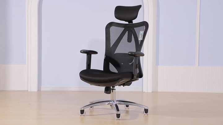 Sihoo M18 Ergonomic Mesh Office Chair with Adjustable Lumbar Support ...