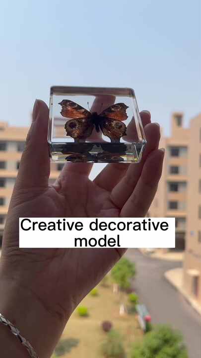 Acrylic Butterfly Specimen Embedded Biological Specimens Real Insect ...