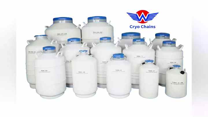YDS Dry Shipper Cryogenic LN2 Container - High Safety
