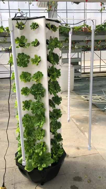 How to Make Aeroponic Tower at Home - Easy & Efficient