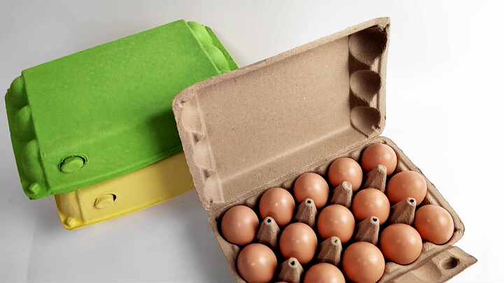 Egg Shaped Recycled Biodegradable Paper Pulp Box - 15 Cells