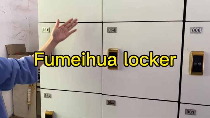 Modern Single-Tier Stadium Wood HPL Lockers with Hasp Padlock System