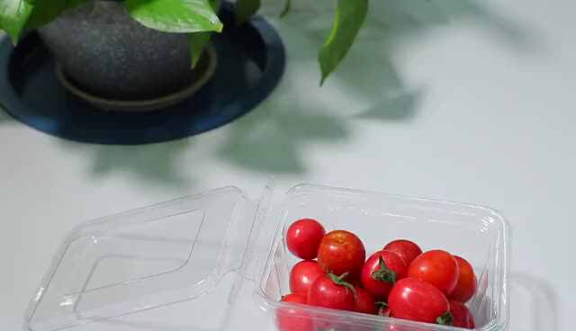 Custom Made PET Plastic Containers - 24oz Food Storage