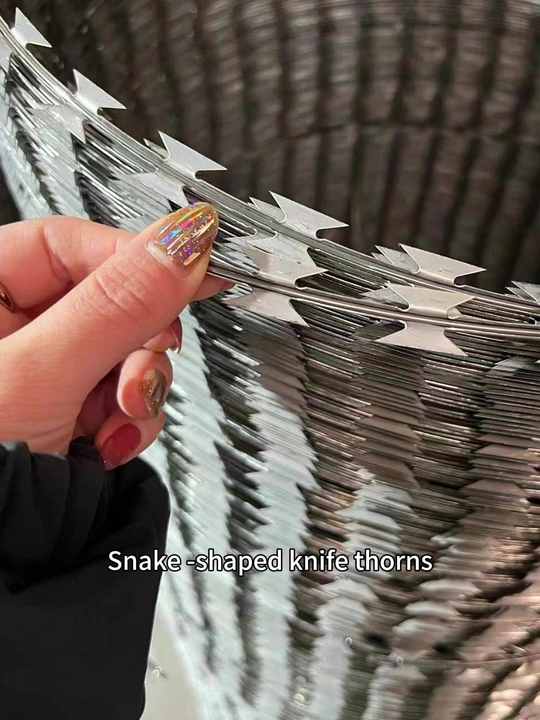 Galvanized Steel Snake Belly Razor Barbed Wire Net With Thorns ...