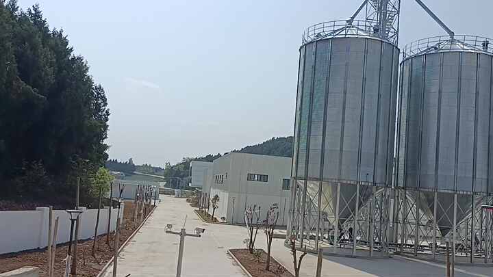 Hot Galvanized Steel 1000mt Silo for Paddy Seed Storage Steel Silos ...