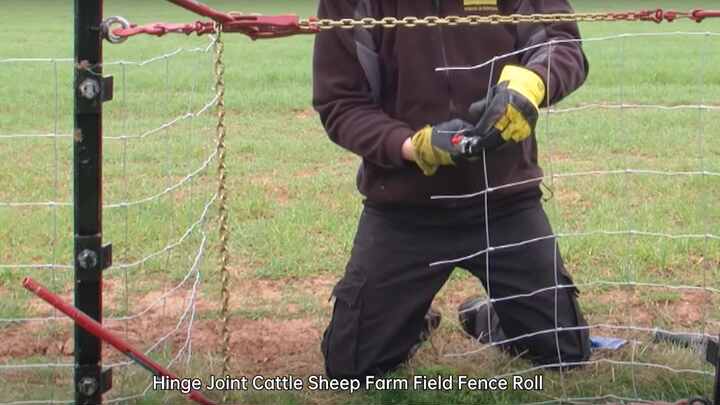 Cheap Goat Sheep Livestock Farm Wire Mesh Fence - 4ft to 8ft