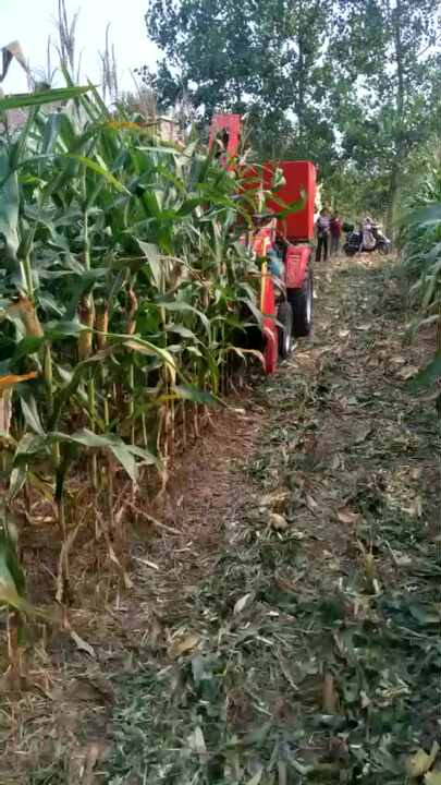 2 Rows Tractor Mounted Harvester Corn Maize Combine Corn Harvest ...