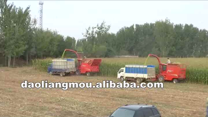Modern Dairy Farm Design - Efficient Corn Silage Harvester