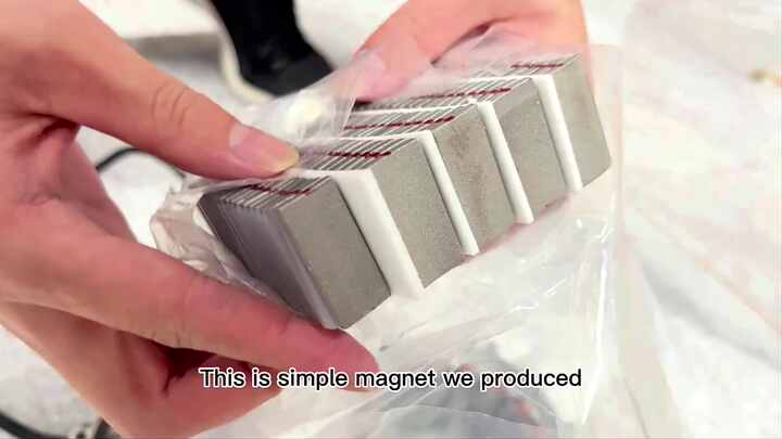 High Quality Neodymium Halbach Array Magnet for Motor
