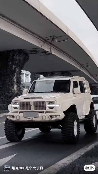 2024 Great Wall Motors Tank 300 Car 2,0 T Jeep Conqueror Manual de 5 ...