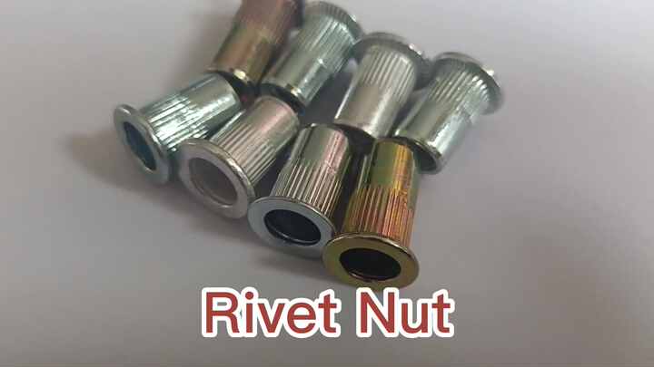 M2 to M10 Rivet Nuts - Durable and Versatile Solutions