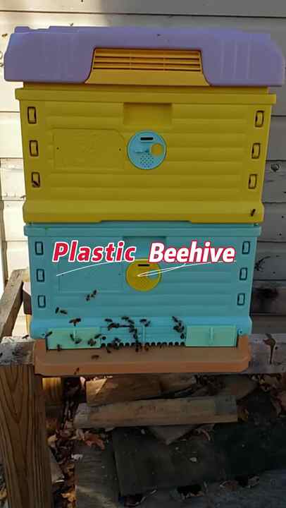 3 Layer Insulation Plastic Polystyrene Beehive - Langstroth