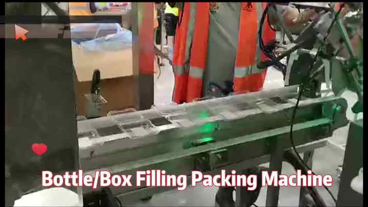 Automatic Punnet Clamshell Filling Machine for Blueberries