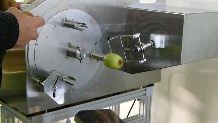 Mechanical high speed yield peeling machine home made in Japan price ...