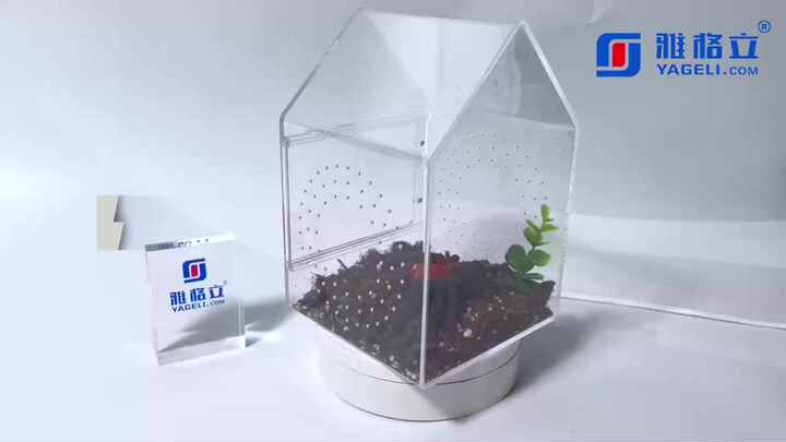 Custom Clear Triangle Acrylic Jumping Spiders Enclosure With Sliding ...