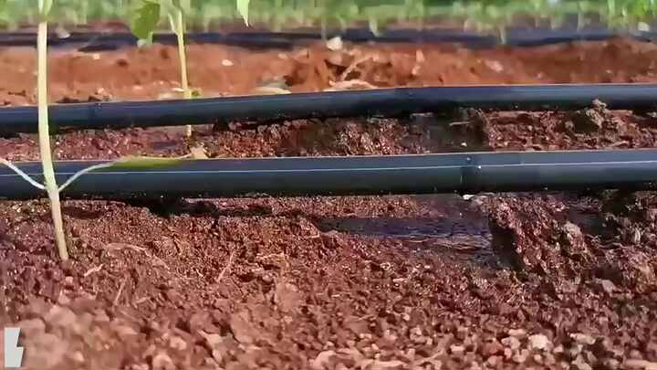 Drip Irrigation Pipe for South Africa 6 mm 16mm Irrigation Tape Drip ...