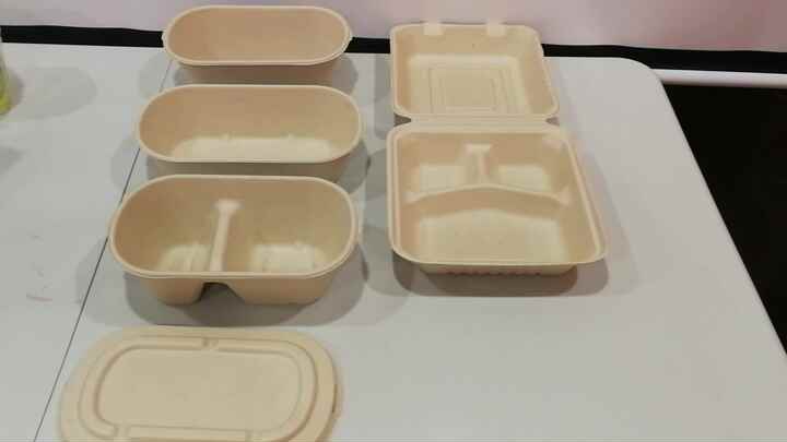 Biodegradable Disposable Paper Lunch Box - Takeaway Food Container