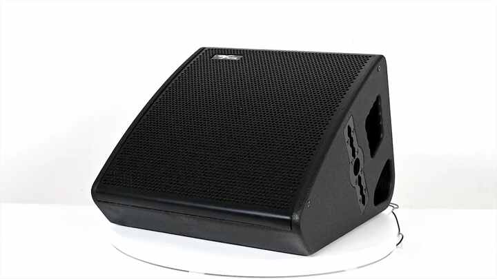 C15 Stage Professional Speaker - 15 Inch Coaxial Monitor