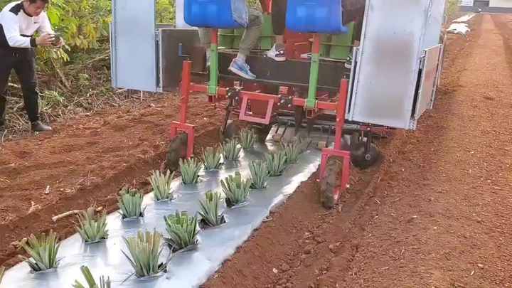 Pineapple Transplanting Planter - High Precision Seedling Machine