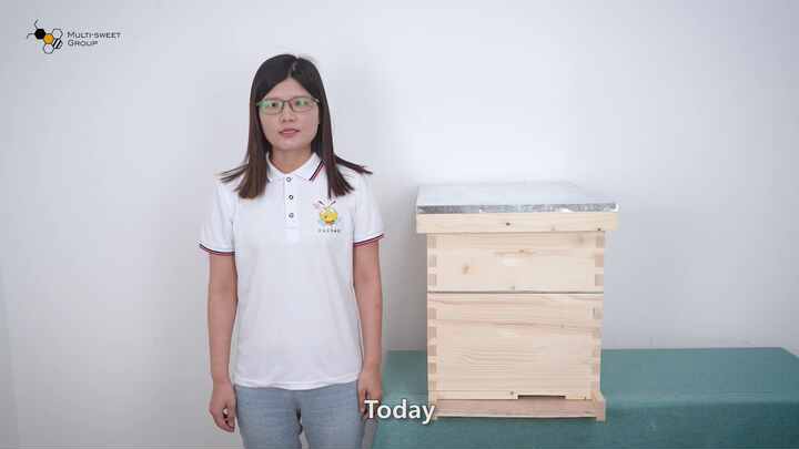 Beehive Kit - 10 Frame Langstroth Beehive with 1 Year Warranty
