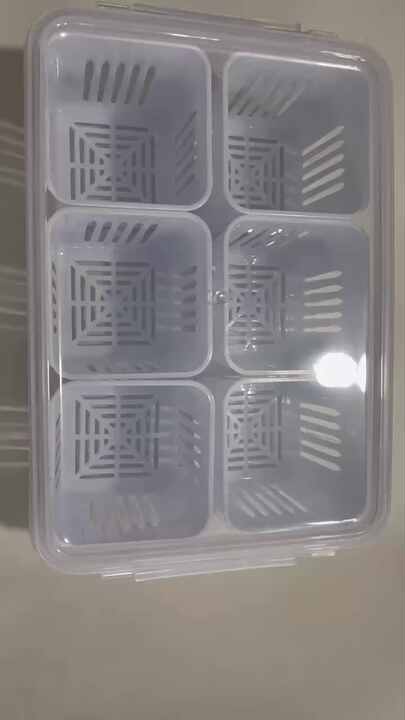 Organize Your Fridge with 6 Grid Storage Box - Durable & Versatile