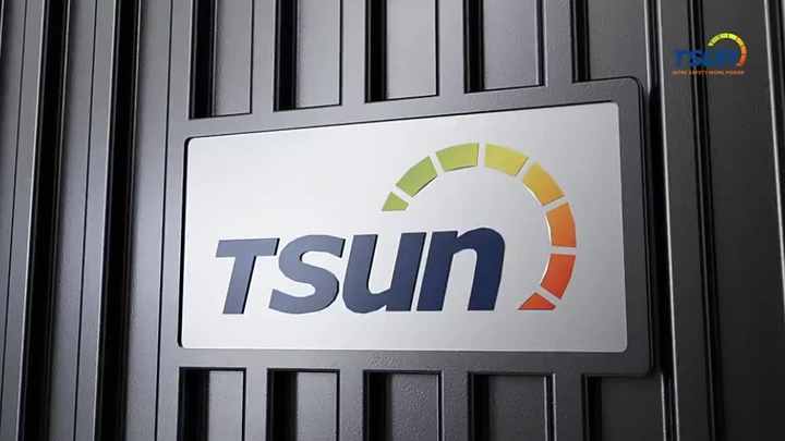 Tsun Micro Inverter M800 DE 600W - Efficient Solar Power