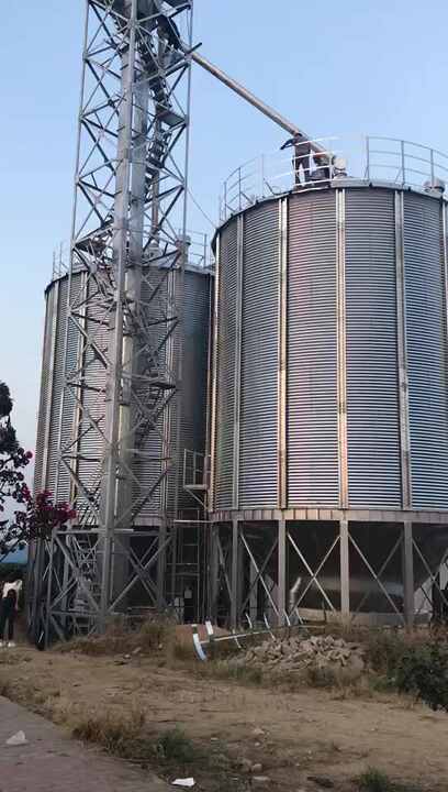 100 Ton Capacity Steel Assembled Silos for Grain Storage