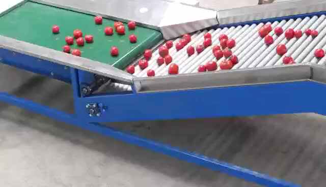 Automatic Fruit Vegetable Grading Machine for Size Sorting