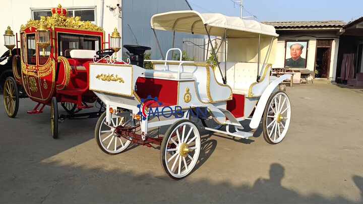 Royal Victorian Design Sightseeing Carriage Classic vis-a-vis Horse ...