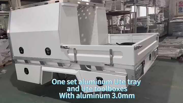 Dual Single extra Cab Aluminum Ute Tray and Canopy with Mud Guards and ...