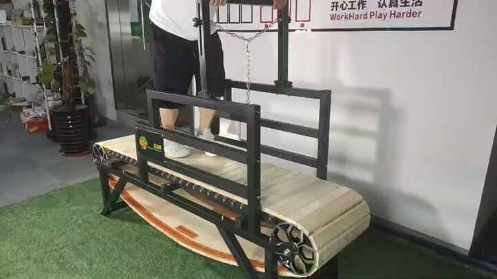 Customized Animal Treadmill - Dog Training Machine
