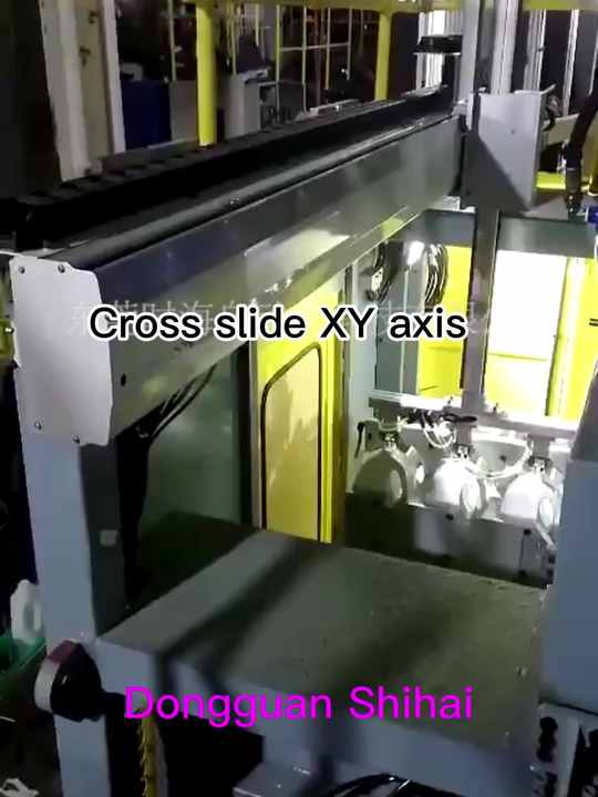 YZ Customizable Multi-Axis XYZ Gantry Robot Arm Motorized Table