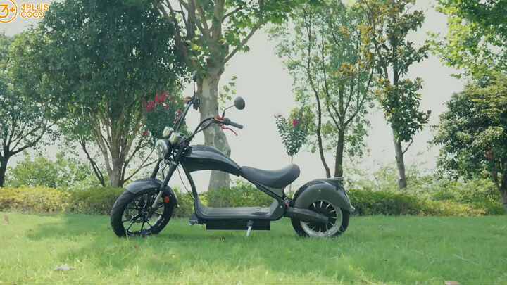 Citycoco EEC COC Electric Scooters - 4000W Power & 60-80km Range
