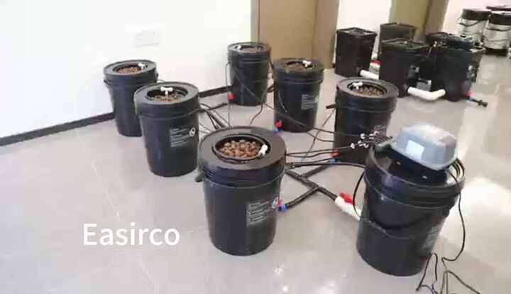 Sistema De Balde Recirculante Dwc