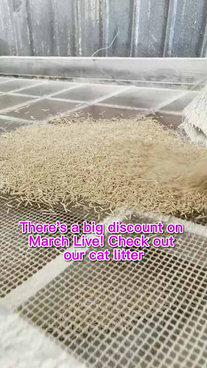 Haisen Natural Tofu Cat Litter - Easy Clean & Strong Clumping