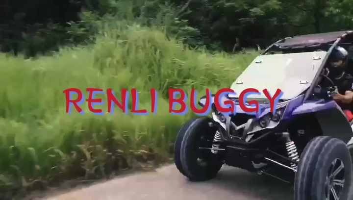 Renli EEC5 500cc Sport Buggy - All Terrain Fun & Speed