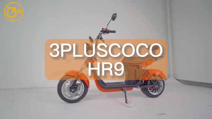 2000W 3000W Citycoco Electric Scooter - Max Range 60-80KM