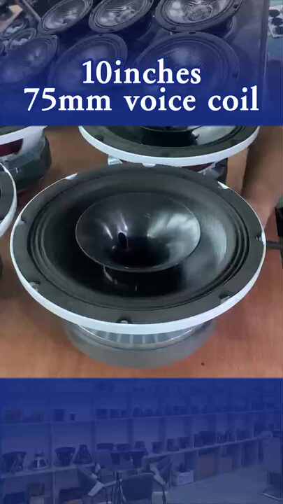 10 Inch Coaxial Speaker - Professional Audio for Home Theatre