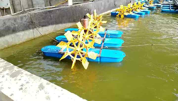 FUTI Paddle Wheel Aerator 2HP - Efficient Fish Pond Aeration