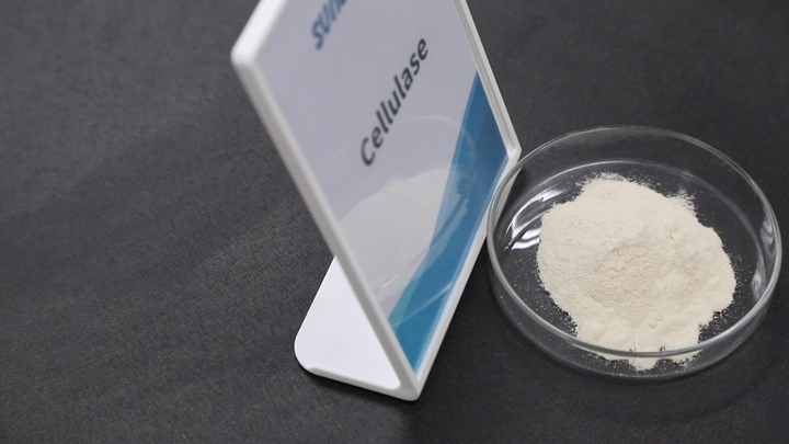 Industrial Acid Cellulase Enzyme Powder for Textile Fabrics Biopolishing