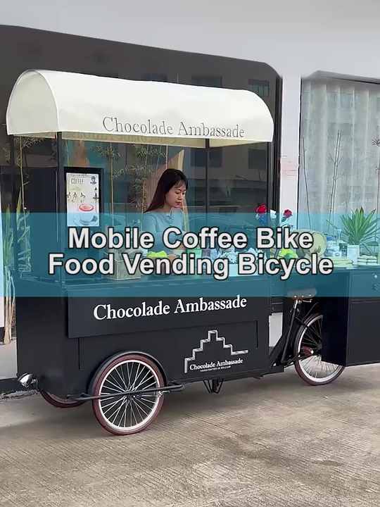 3 Wheel Cargo Bike - Street Food Delivery Bike Crepe