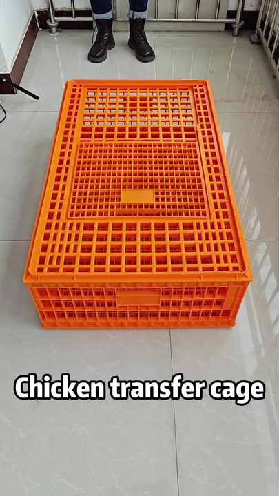 Durable Poultry Transport Cages - Customized Solutions