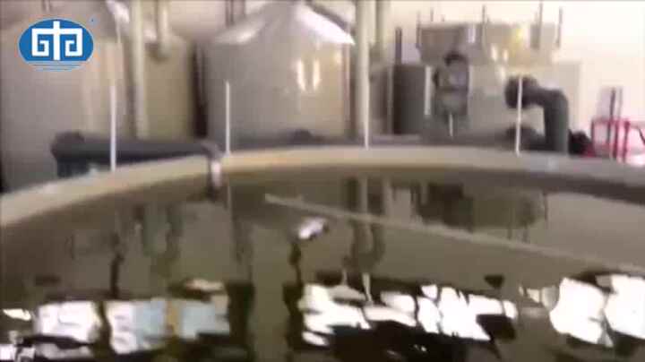 Saudi Arabia Indoor Ras/shrimp Farming Equipment/fish Farm Ras