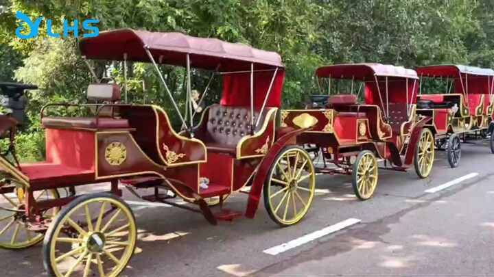 Park Rides Electric Royal Horse Drawn Carriage Luxury Sightseeing ...