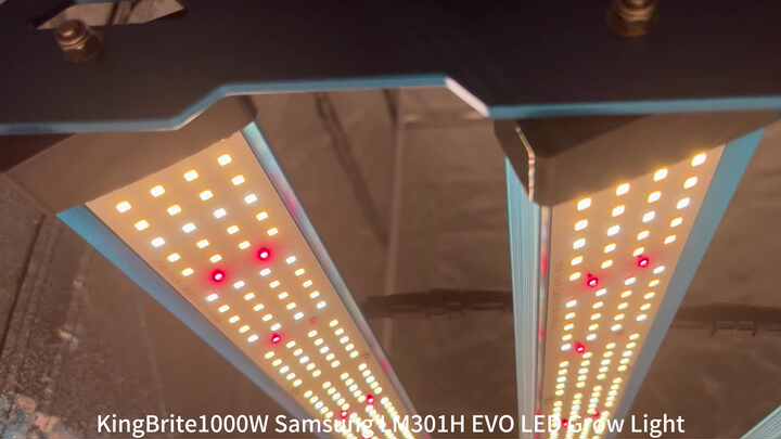 Kingbrite 1000W LED Grow Lights - Efficient Plant Growth