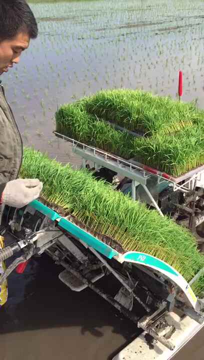 Zeyi Rice Transplanter - Durable & Efficient Planting Machine
