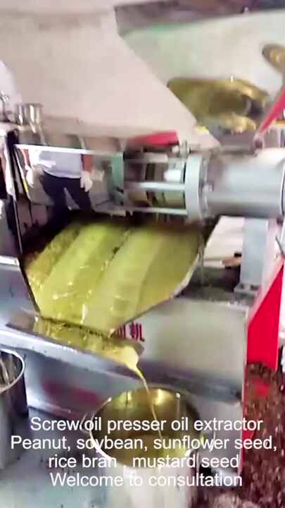 Factory price peanut sunflower avocado palm fruit oil extraction ...